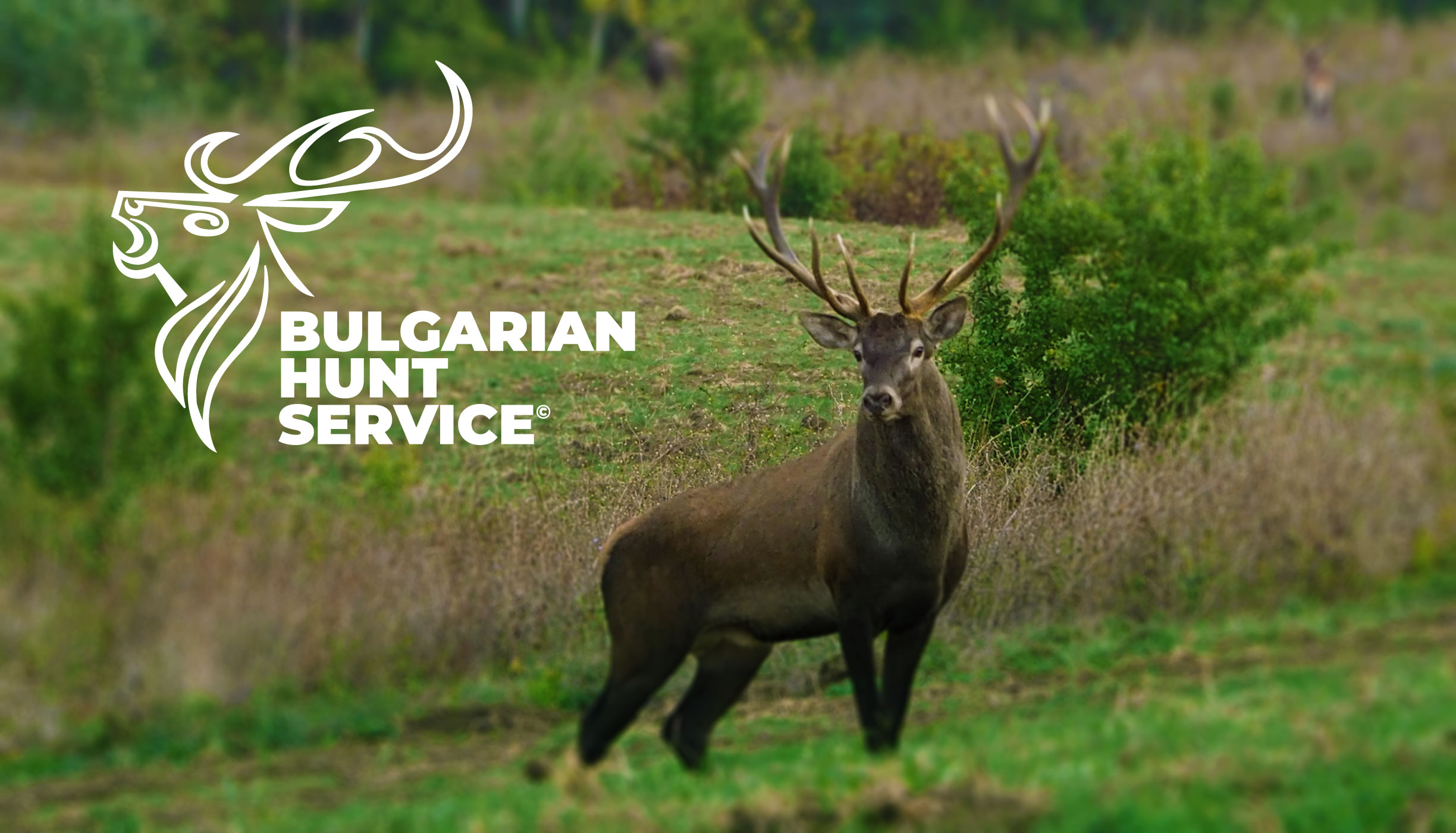 BULGARIAN HUNT SERVICE